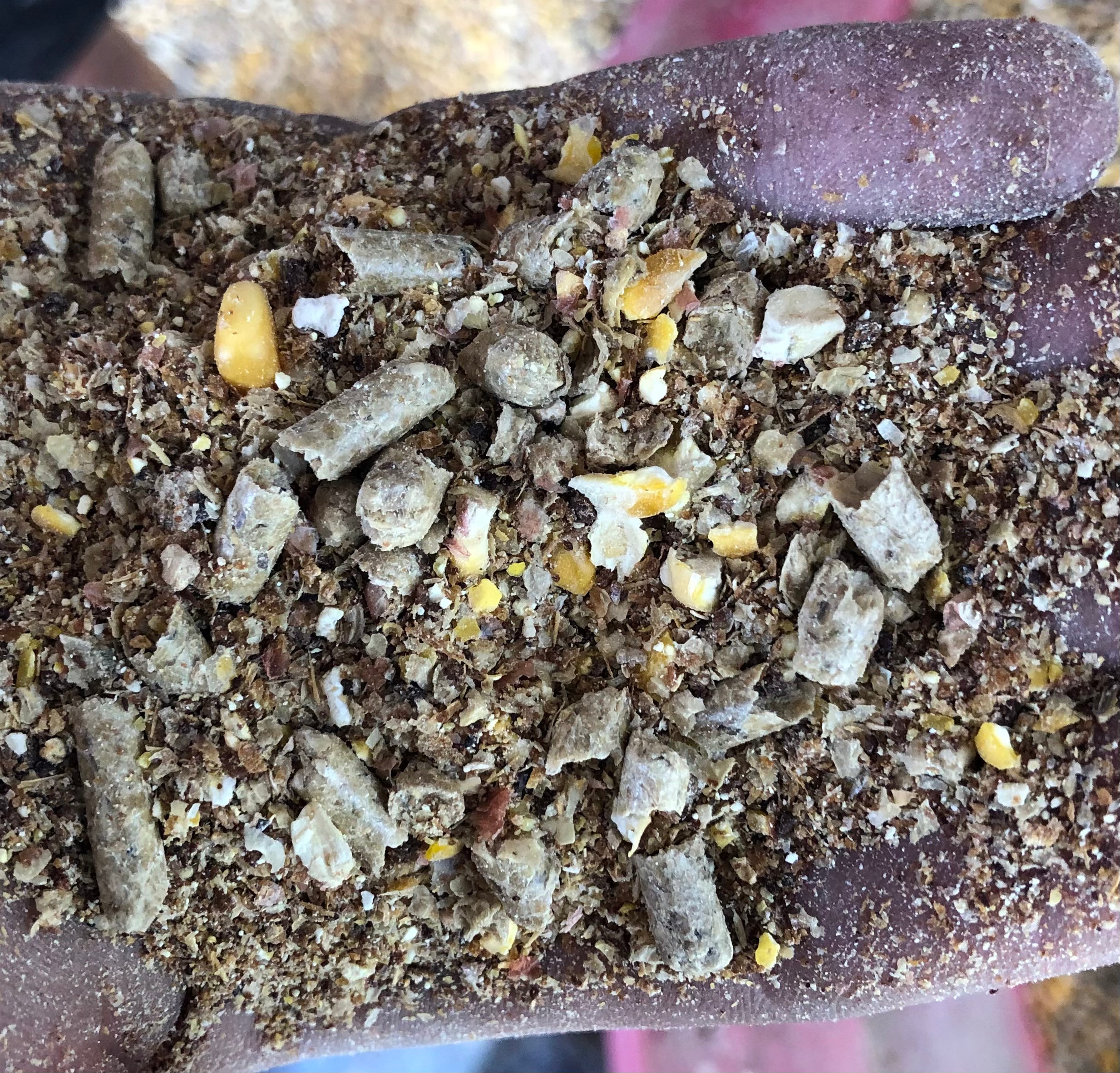 BEEF FEED 60-20-20 BULK CWT – Riverside Feed and Seed